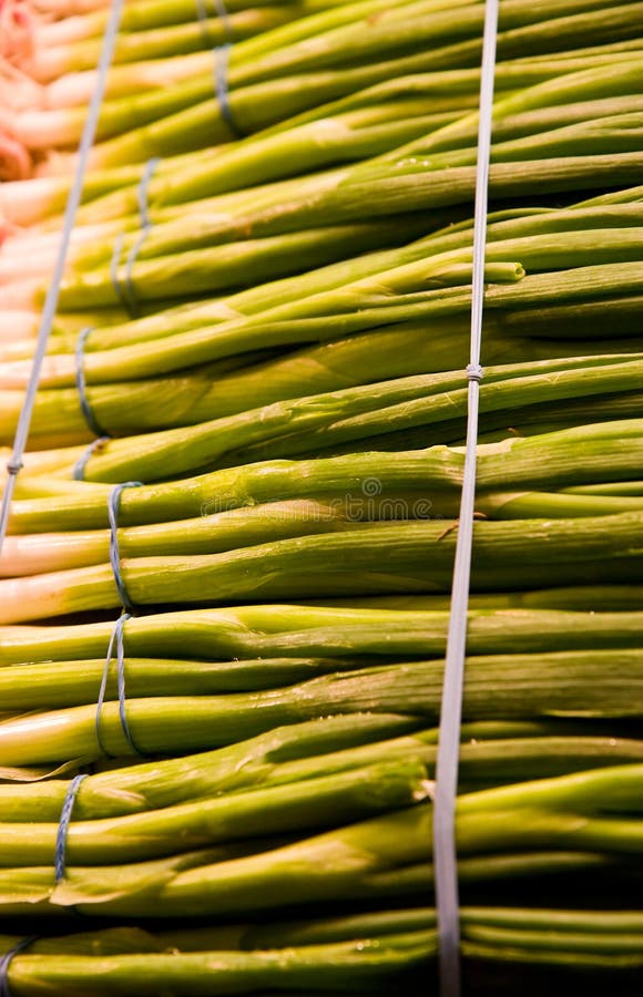 Bundles of Scallions stock photo. Image of market, health - 7310126