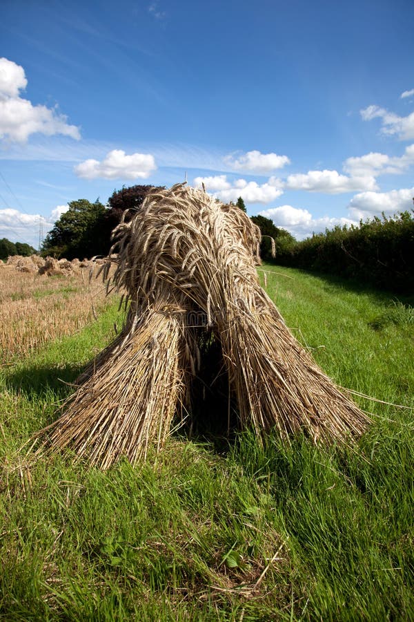 Cornstack Stock Photos - Free & Royalty-Free Stock Photos from Dreamstime