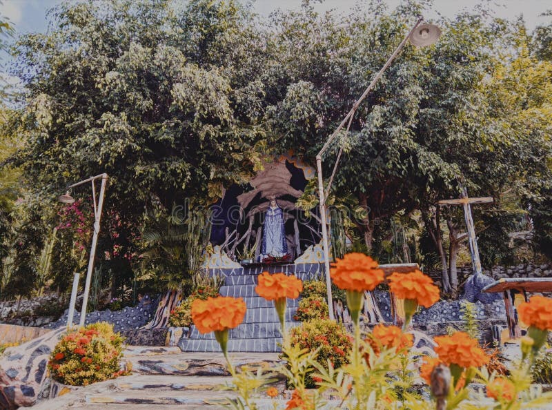 Bunga Lambang Maria Stock Photos - Free & Royalty-Free Stock Photos ...