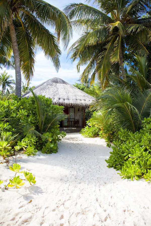 Bungalow in the bush stock photo. Image of bush, bungalow - 64862144