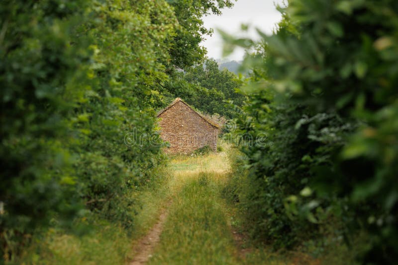 Bungalow at the End of a Green Path Countryside Stock Image - Image of ...