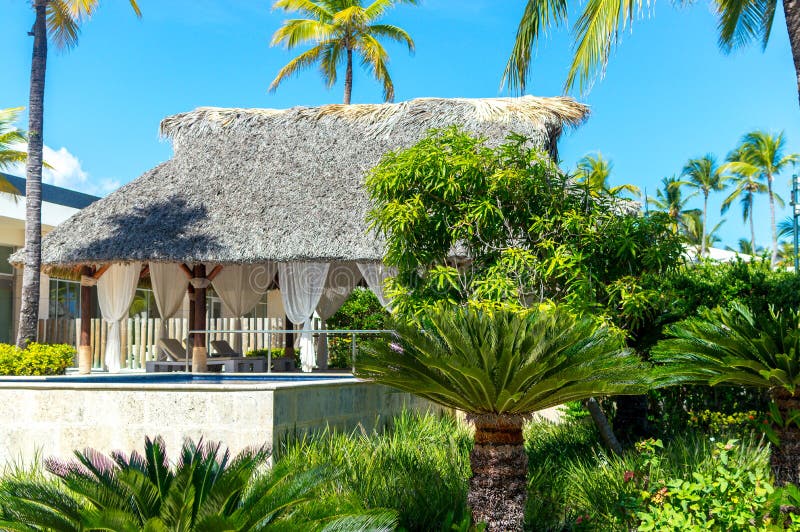 Bungalow in palm trees stock photo. Image of asia, natural - 17144474