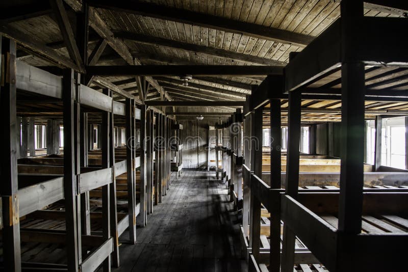 Bunk Beds of a Concentration Camp Editorial Stock Photo - Image of dead ...
