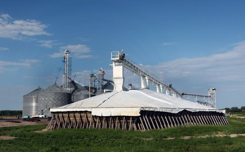 Corn Surplus stock photo. Image of farmland, harvest - 13819788