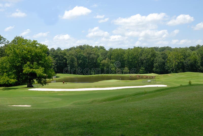 Bunkers on golf course stock image. Image of trees, traps - 20367785