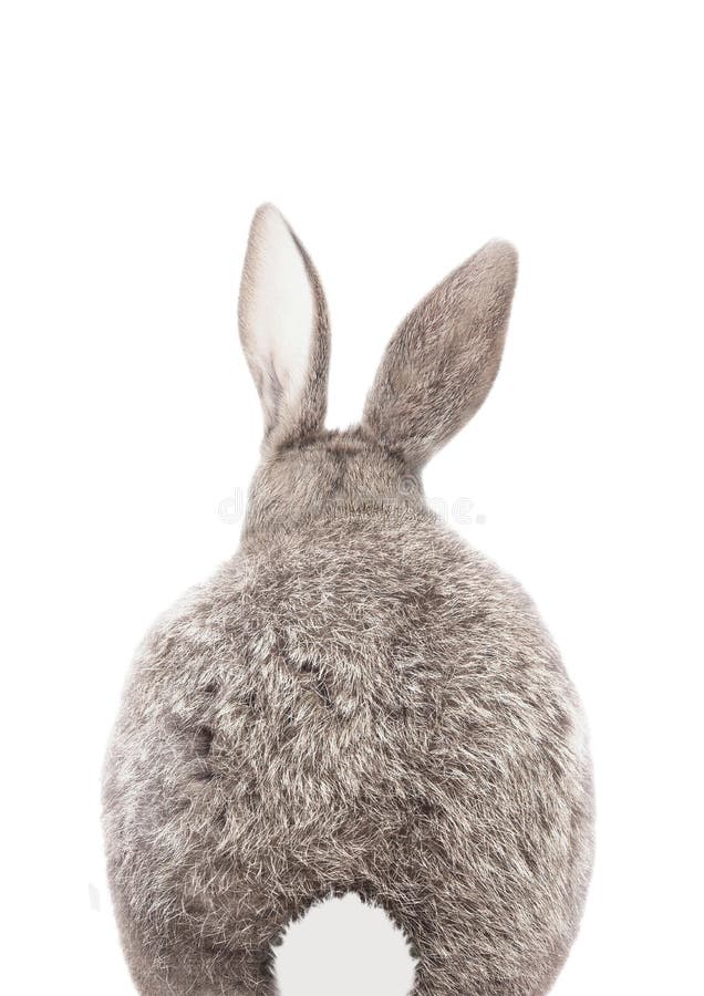 A3 Bunny Backside Nordic 29.7 X 42 Cm Stock Image - Image of eastern ...