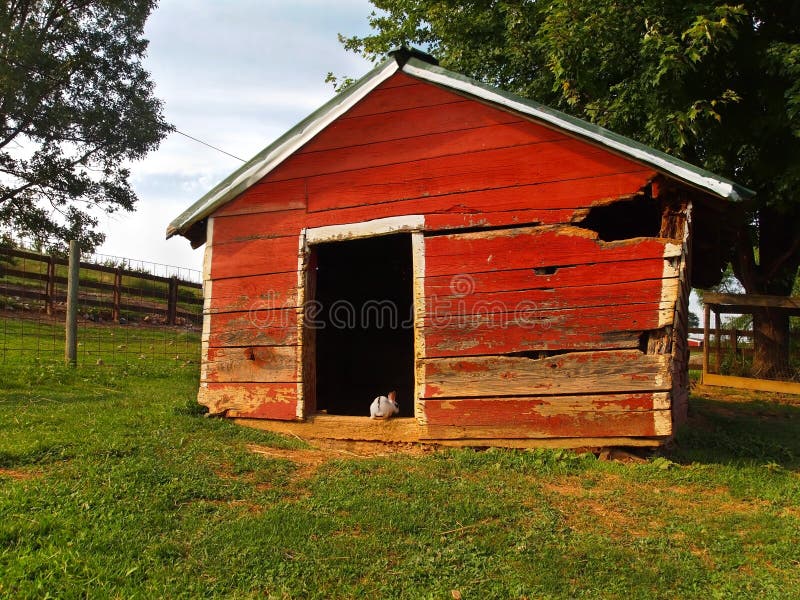 Bunny Barn stock image. Image of scenic, country, green - 32918733