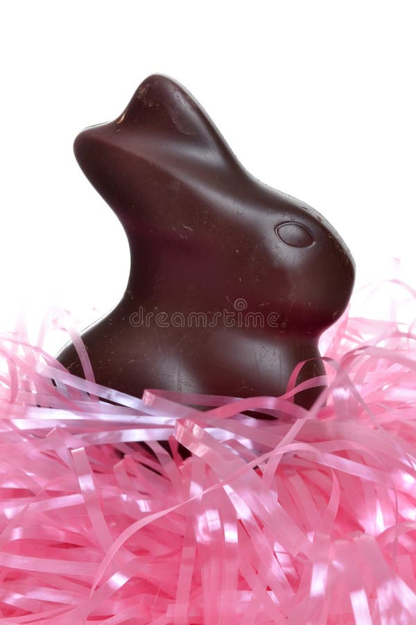 Bunny Chocolate stock image. Image of plastic, grass - 30408273