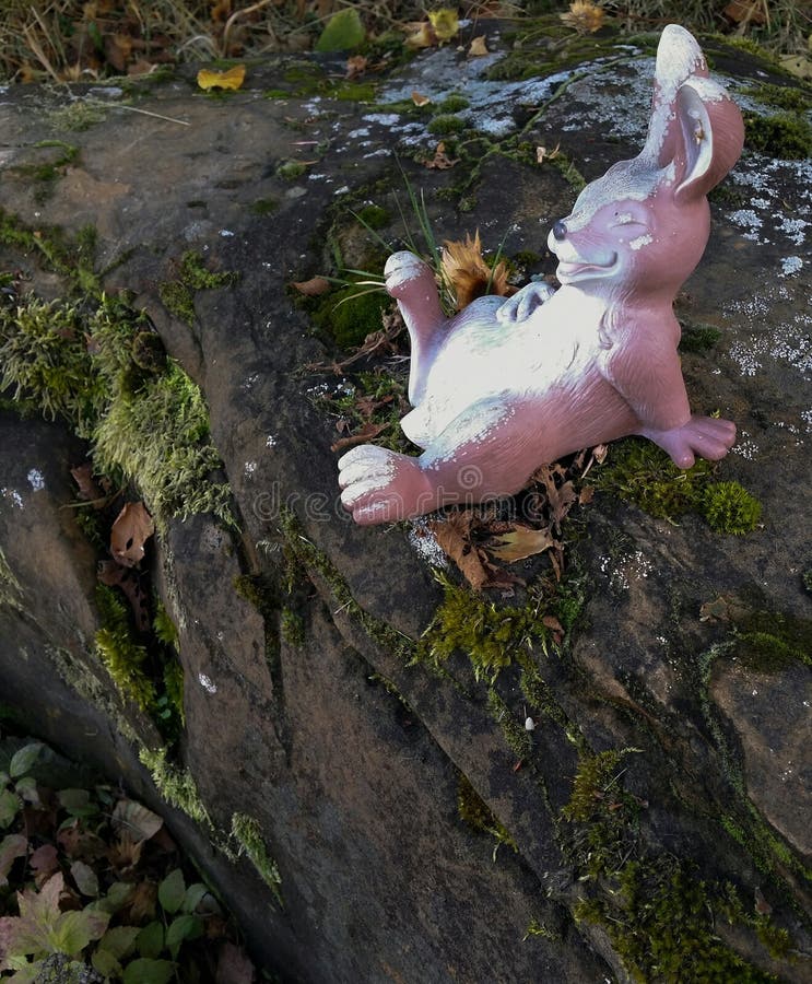 Bunny on the edge stock photo. Image of garden, ornament - 78168094