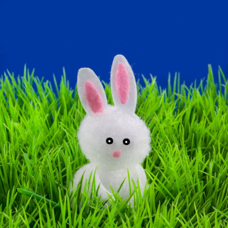 Bunny in grass stock photo. Image of spring, small, young - 51806582