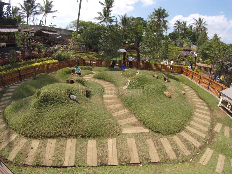 Bunny hill editorial image. Image of habbit, plantation - 265932230