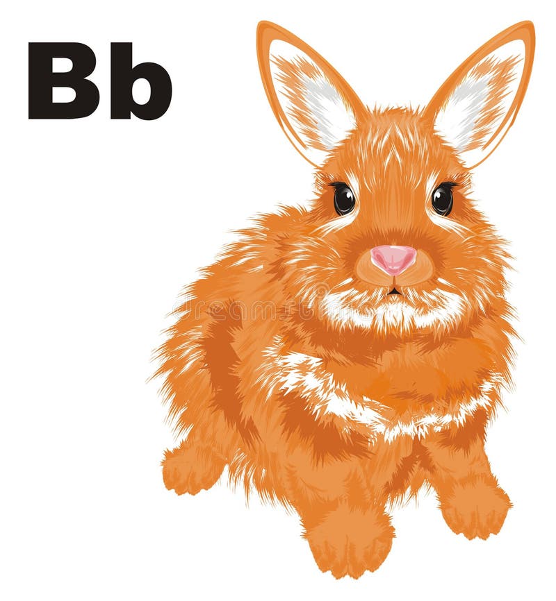 Bunny and letters stock illustration. Illustration of farm - 108683846