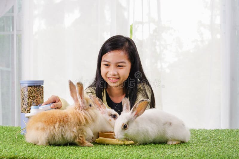 Bunny Lying on Grasses,a Girl Take Care of the Rabbits Stock Photo ...