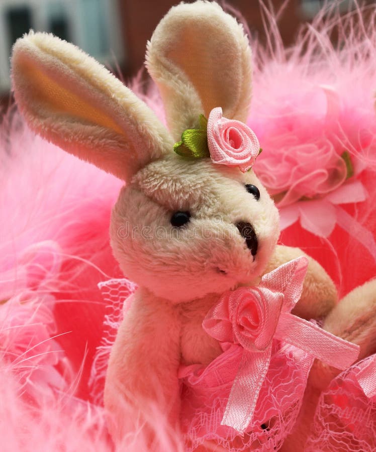 Bunny in pink stock photo. Image of composition, vintage - 45168478