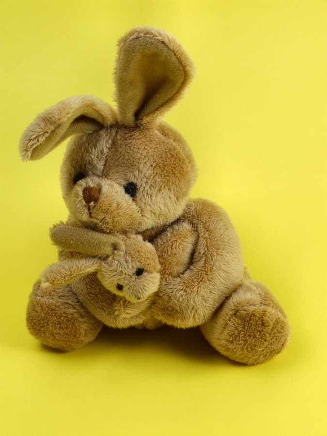 Bunny rabbit cuddly toy stock photo. Image of ears, bear - 899064