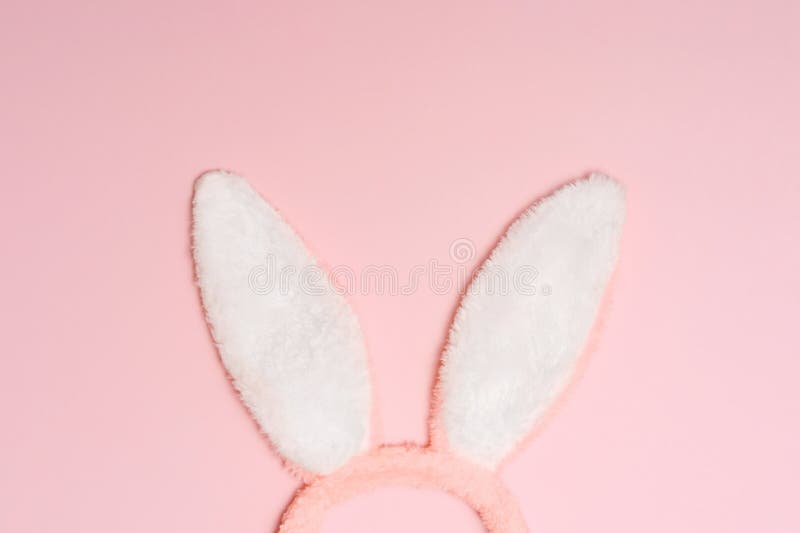 Bunny, Rabbit Ears on Pink Background Stock Photo - Image of holiday ...