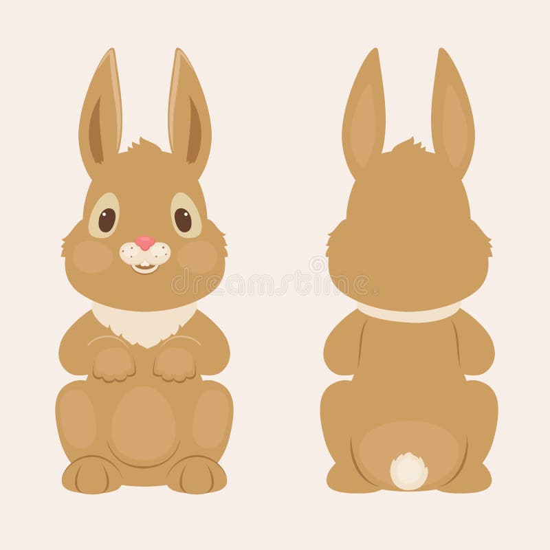 Bunny/rabbit Front and Back View Stock Vector - Illustration of farm ...