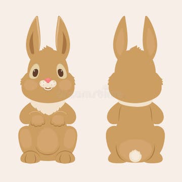 Bunny/rabbit Front and Back View Stock Vector - Illustration of farm ...