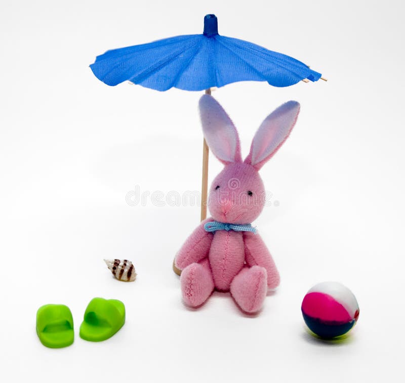 Bunny Rabbit Teddy on Beach Stock Image - Image of cuddly, closeup: 6673455