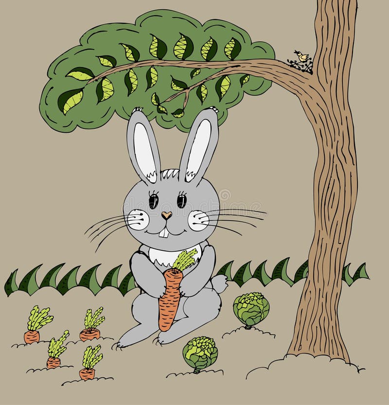 Bunny with a cabbage stock vector. Illustration of eating - 40666620