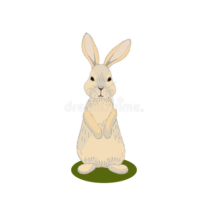 Standing Bunny Stock Illustrations – 7,584 Standing Bunny Stock ...