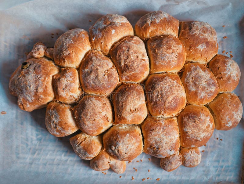 Bread in shape of sheep stock photo. Image of composition - 259142816