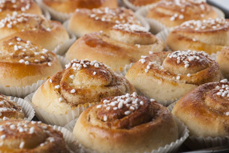 Buns stock photo. Image of baking, version, baked, full - 50412598