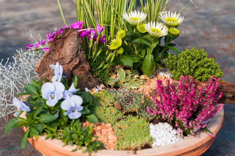 Bunte Blumen im Garten stockfoto. Bild von blumen, nahaufnahme - 70851850