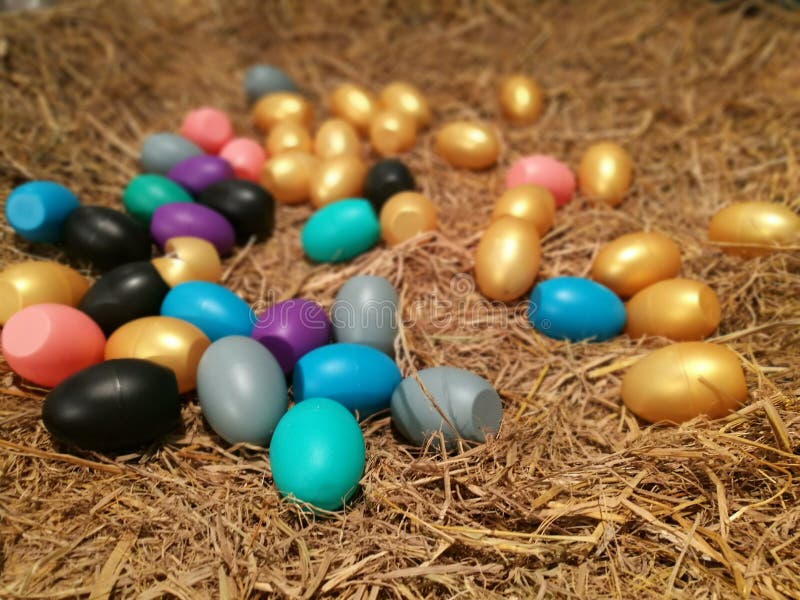 Bunte Eier in einem Nest stockbild. Bild von verärgert - 72841391