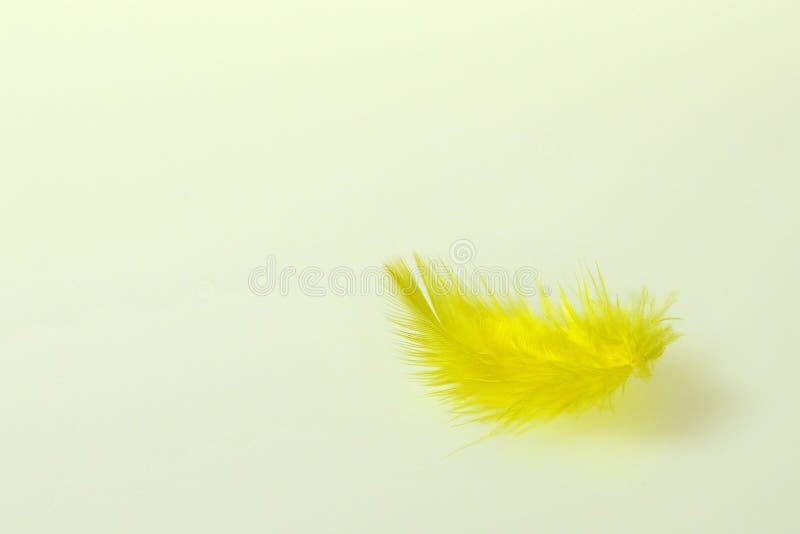 Bunte Federn stockfoto. Bild von gelb, feder, leute, nachricht - 5884954