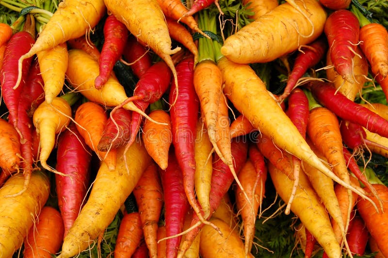 Bunte Karotten stockfoto. Bild von farben, vegetarier - 8006578