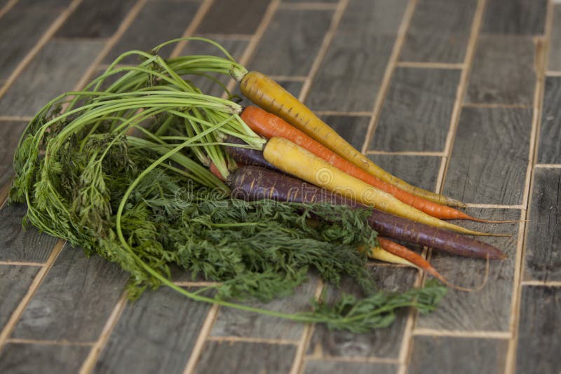 Bunte Karotten stockfoto. Bild von bunt, holz, orange - 83403866