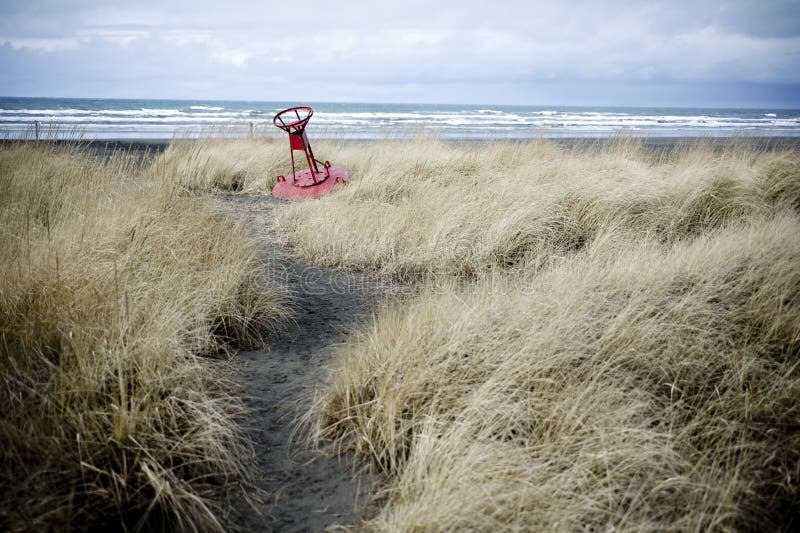 Buoy on the beach stock photo. Image of ocean, coast - 23966714