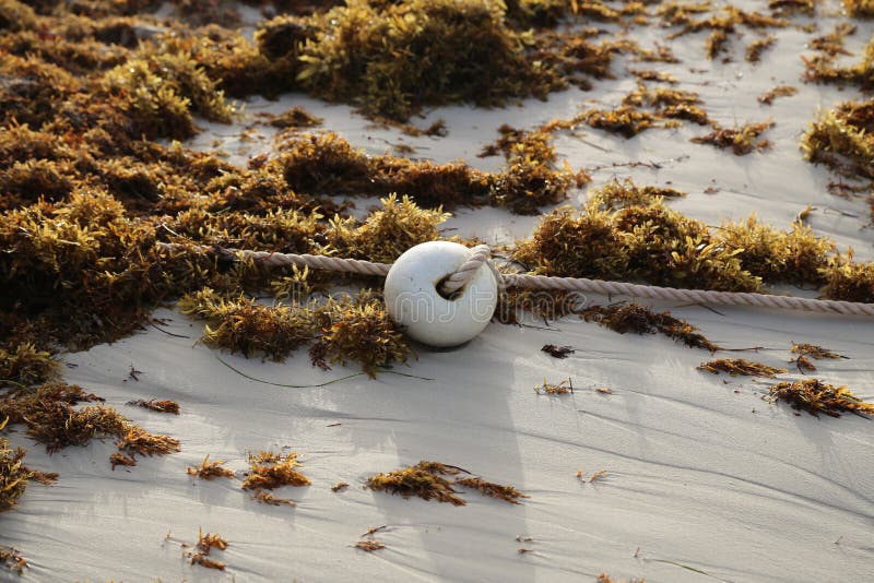 Buoy in ocean stock photo. Image of kona, reflection - 46029578
