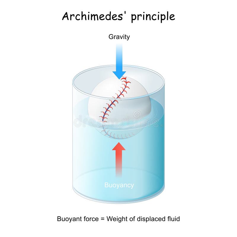 Archimedes Principle Vector Illustration Buoyant Forc - vrogue.co Archimedes Principle Vector Illustration Buoyant Forc - vrogue.co