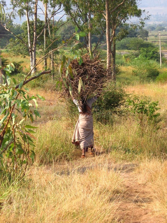 Tree and Man in Desert Plain Stock Photo - Image of tranquillity ...
