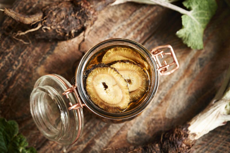 Burdock Root and Alcohol in a Glass Jar - Prepration of Herbal Tincture ...