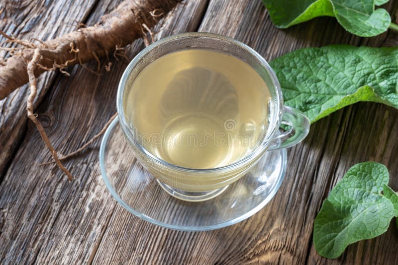 Burdock Tea with Fresh Burdock Root and Leaves Stock Photo - Image of ...