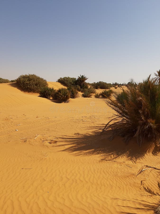 Burgan Beach stock photo. Image of sahara, plain, dune - 252876144