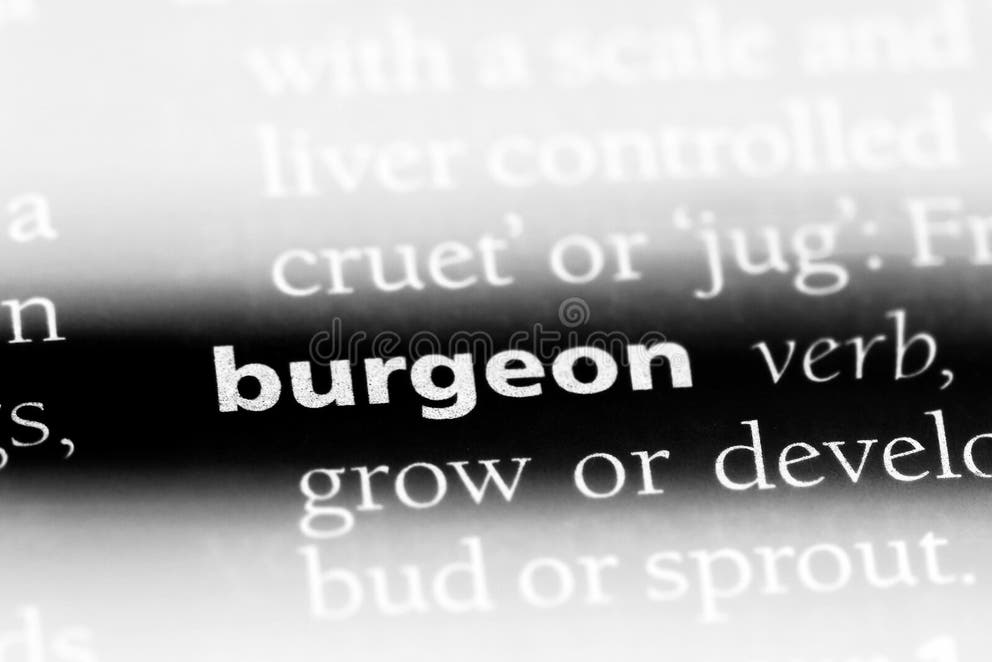 Burgeon stock image. Image of text, printed, info, english - 114407909