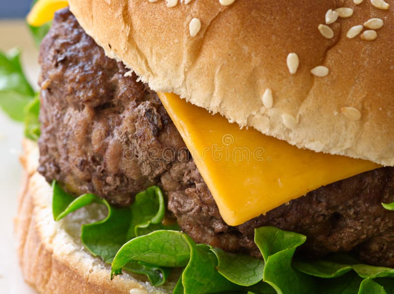 Cheeseburger & Chips stock image. Image of dinner - 17898893