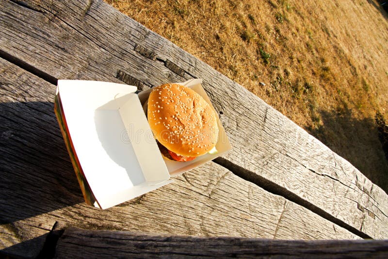 Burger in a box stock image. Image of beef, cheeseburger - 56823977