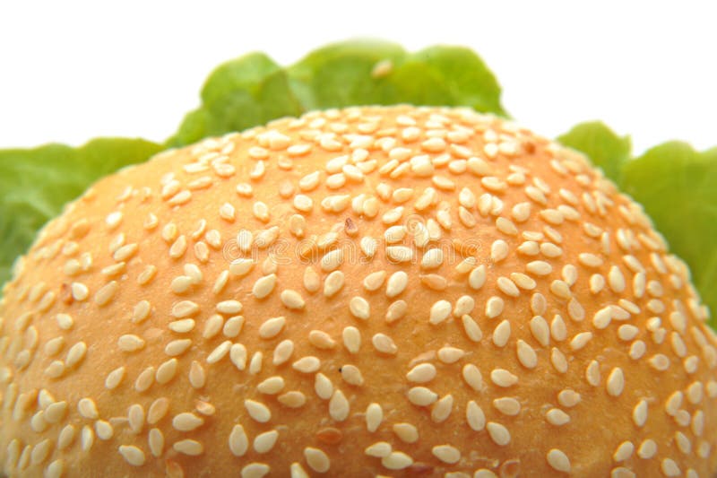 Burger Bread stock photo. Image of freshness, bread, dinner - 12675218