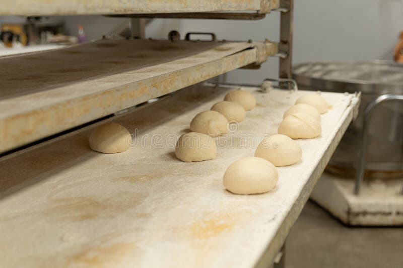Burger Buns Placed in the Tray and Ready To Be Stuffed in the Bakery ...