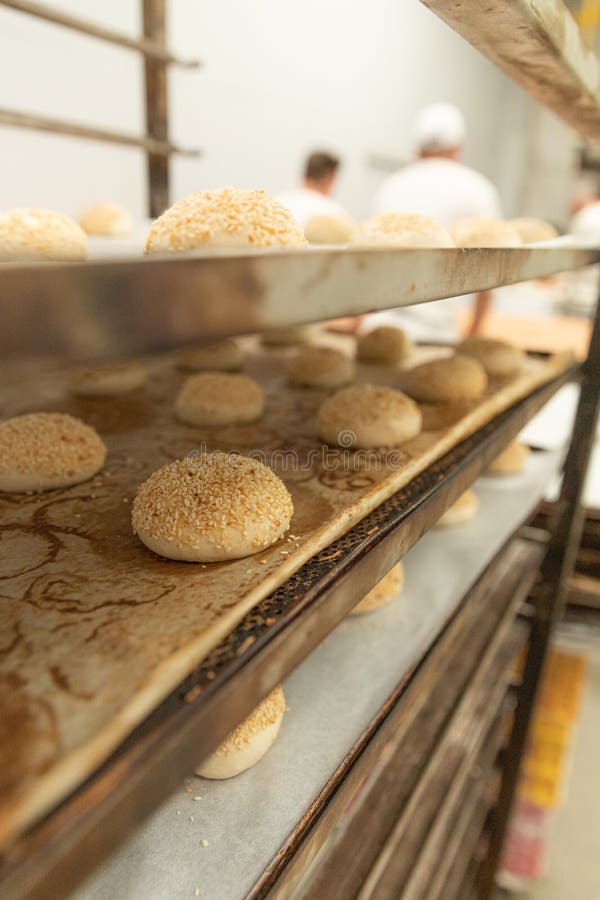 Burger Buns Placed in the Tray and Ready To Be Stuffed in the Bakery ...