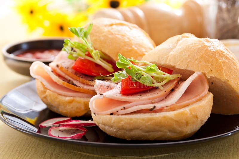 Burger stock photo. Image of vegetables, slice, breakfast - 114838600