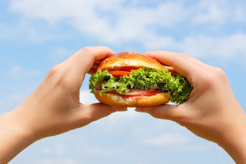 Burger in the hand . stock image. Image of bread, hamburger - 96045989