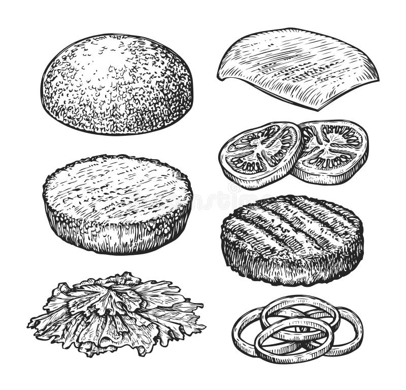 Burger Ingredients Sketch. Vintage Vector Illustration for Restaurant ...