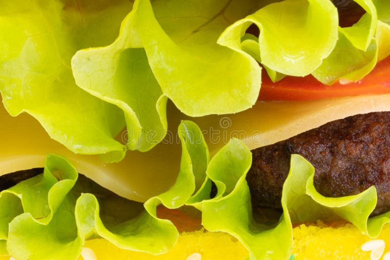 Burger with Lettuce and Patty Close-up Stock Image - Image of ...