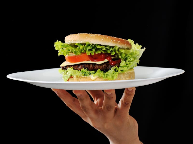 Burger on plate stock image. Image of cheeseburgers, burger - 29128979